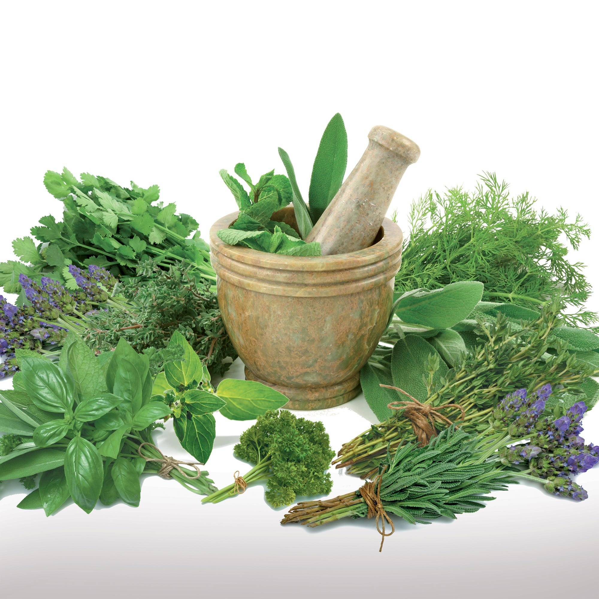 Substrát bylinková zahrádka a výsev Agro NATURA - pěstování bez chemie ...